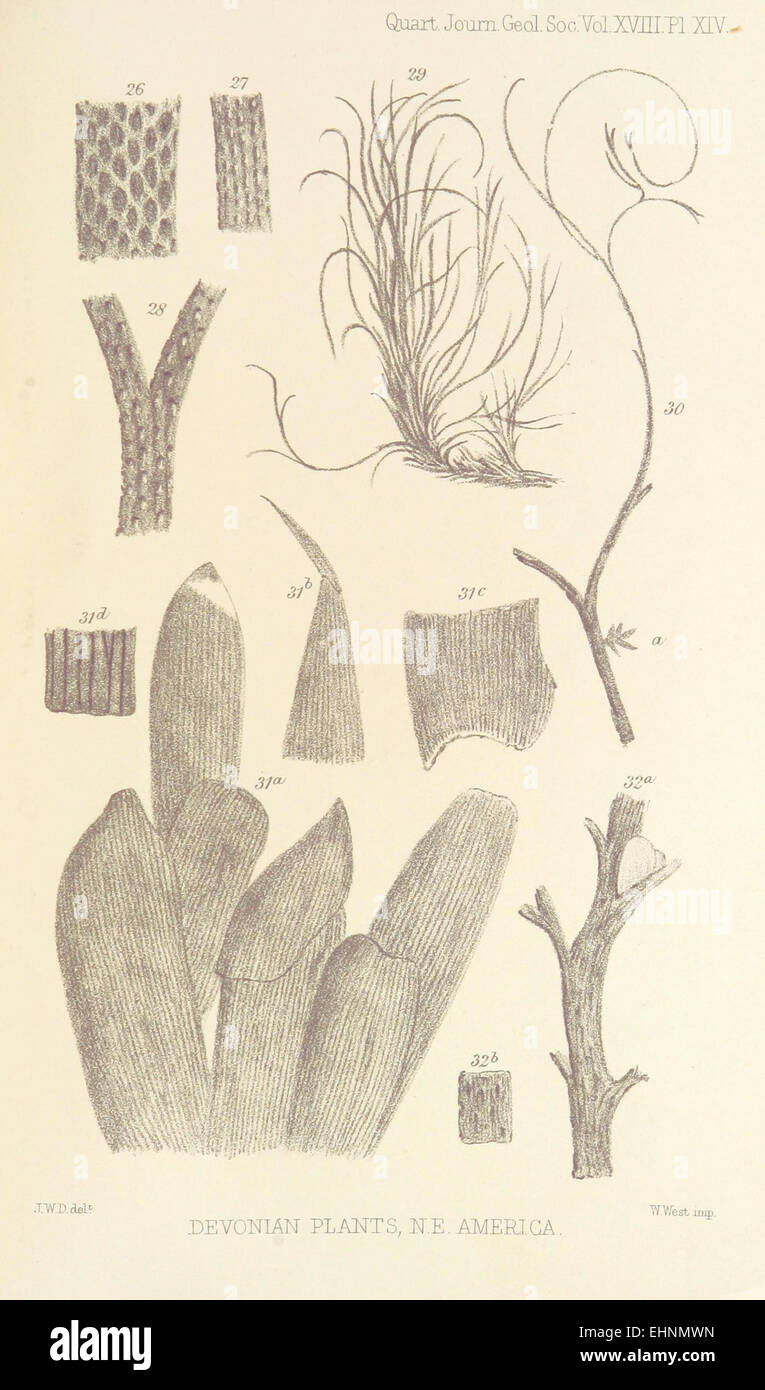 This 1862 plate from Dawson's work shows an important scientific ...