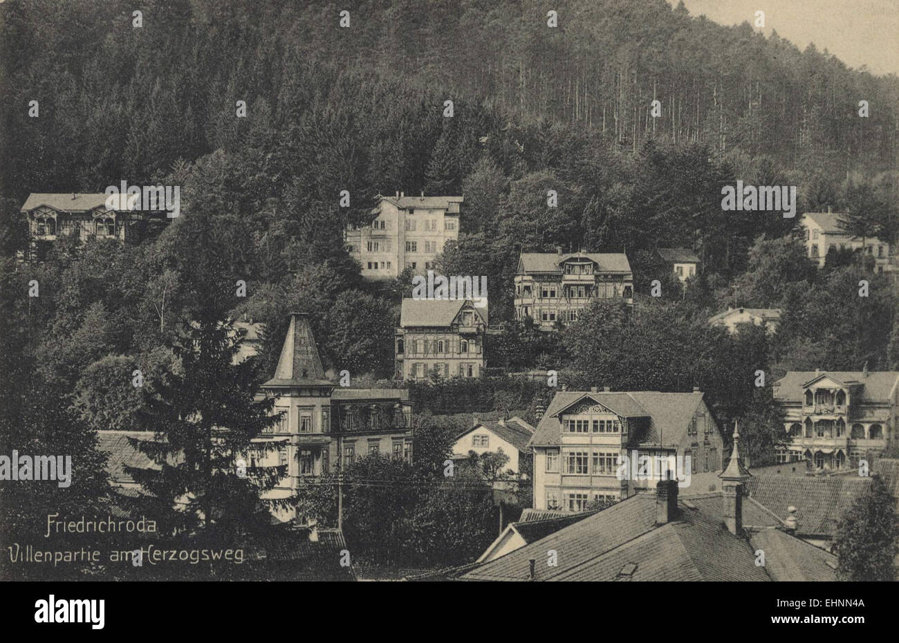 This early 20th-century image shows the villas along Herzogsweg in ...