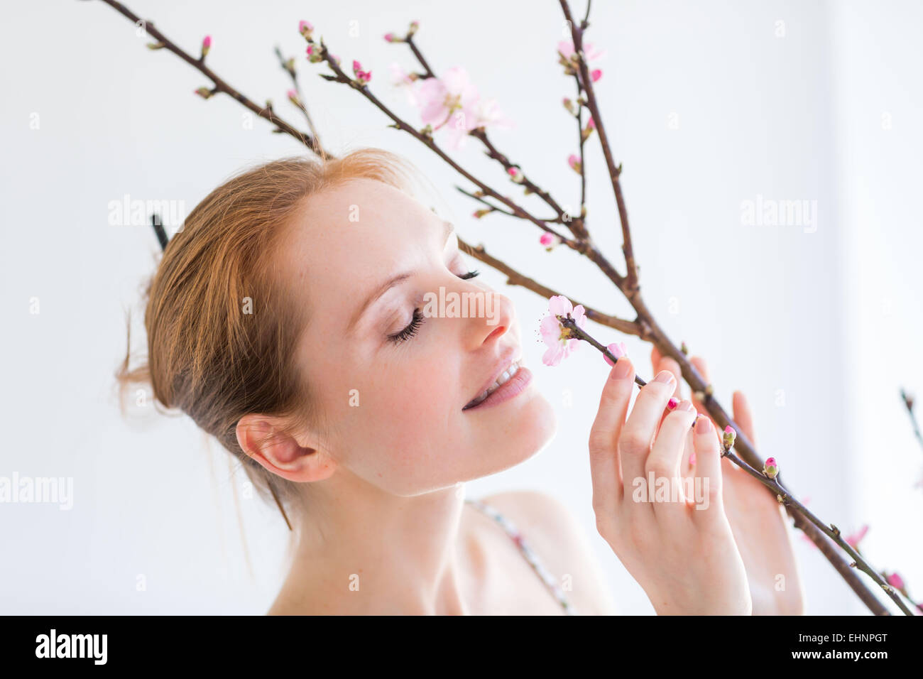 Front of branch hi-res stock photography and images - Alamy