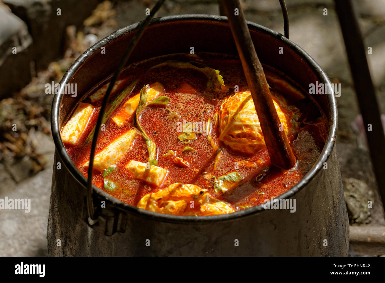 Cooking in nature hi-res stock photography and images - Alamy