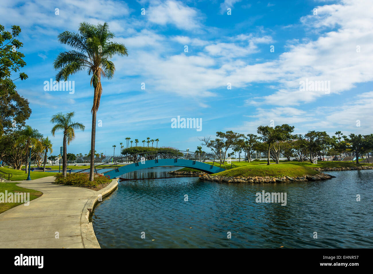 Palm tree and bridge at Rainbow Lagoon Park in Long Beach, California ...