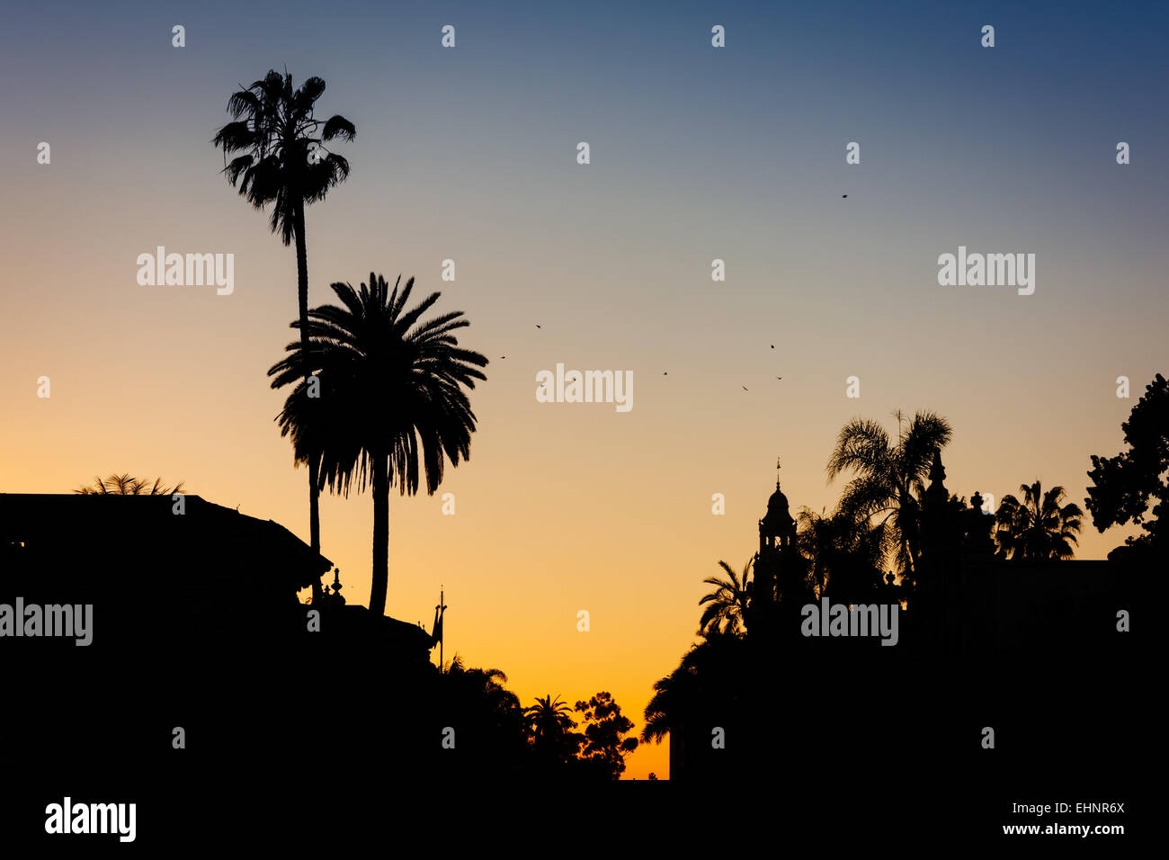 Sunset balboa park in san hi-res stock photography and images - Alamy