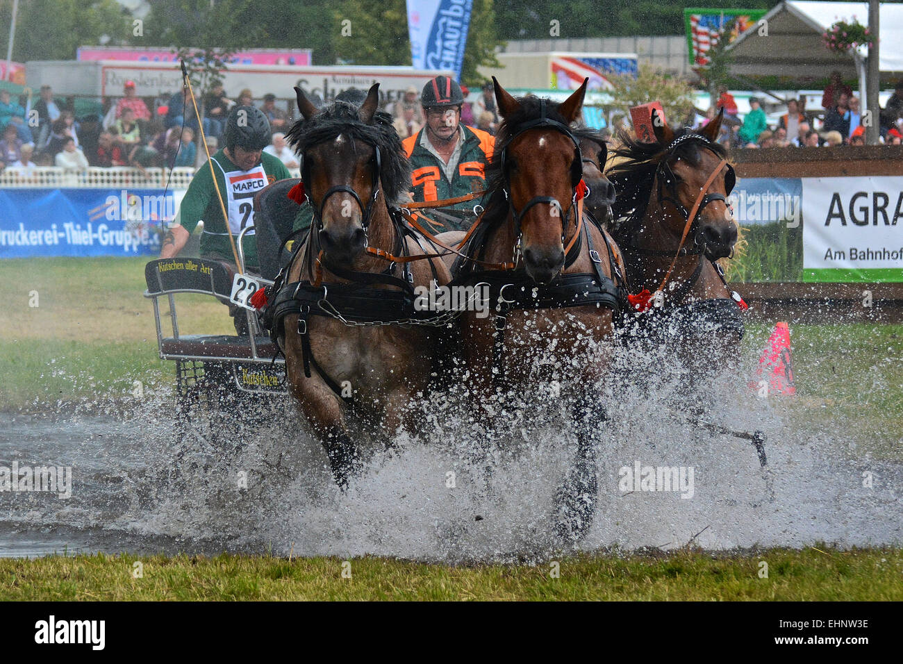 Draft Horse Racing in Germany Stock Photo - Alamy