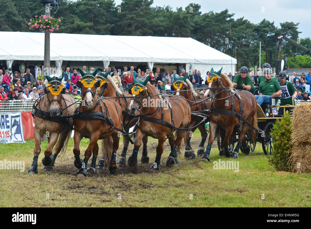 Racing in hi-res stock photography and images - Alamy