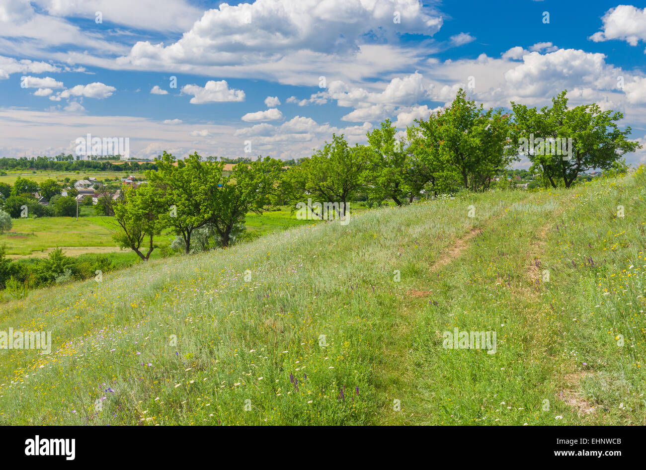 Spring landscape in rural area, central Ukraine Stock Photo - Alamy