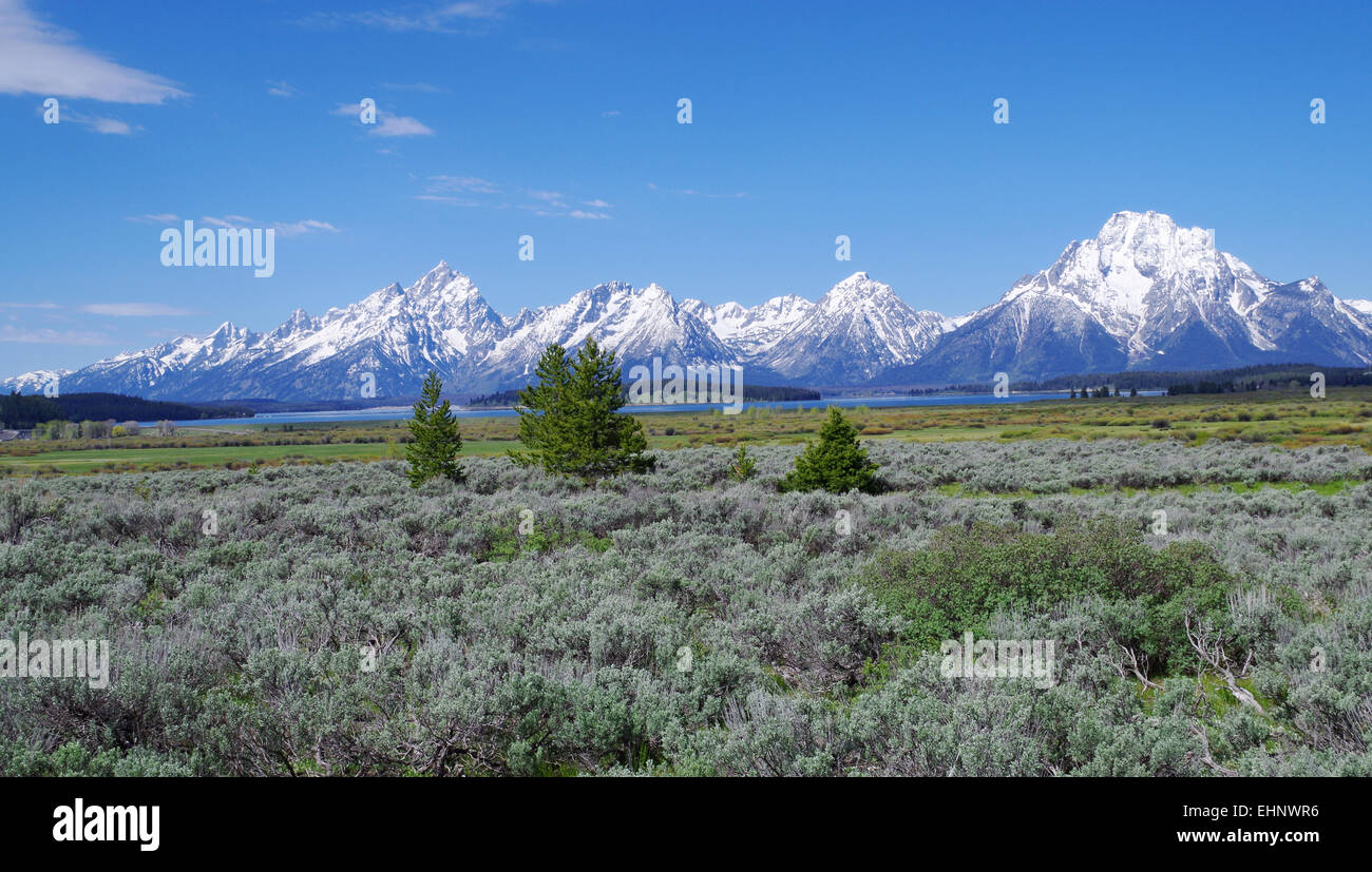 Yellowstone lake rocks hi-res stock photography and images - Alamy