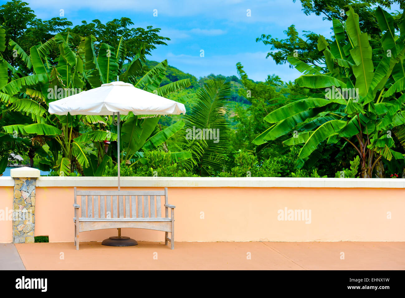 Wooden bench palm trees hi-res stock photography and images - Alamy