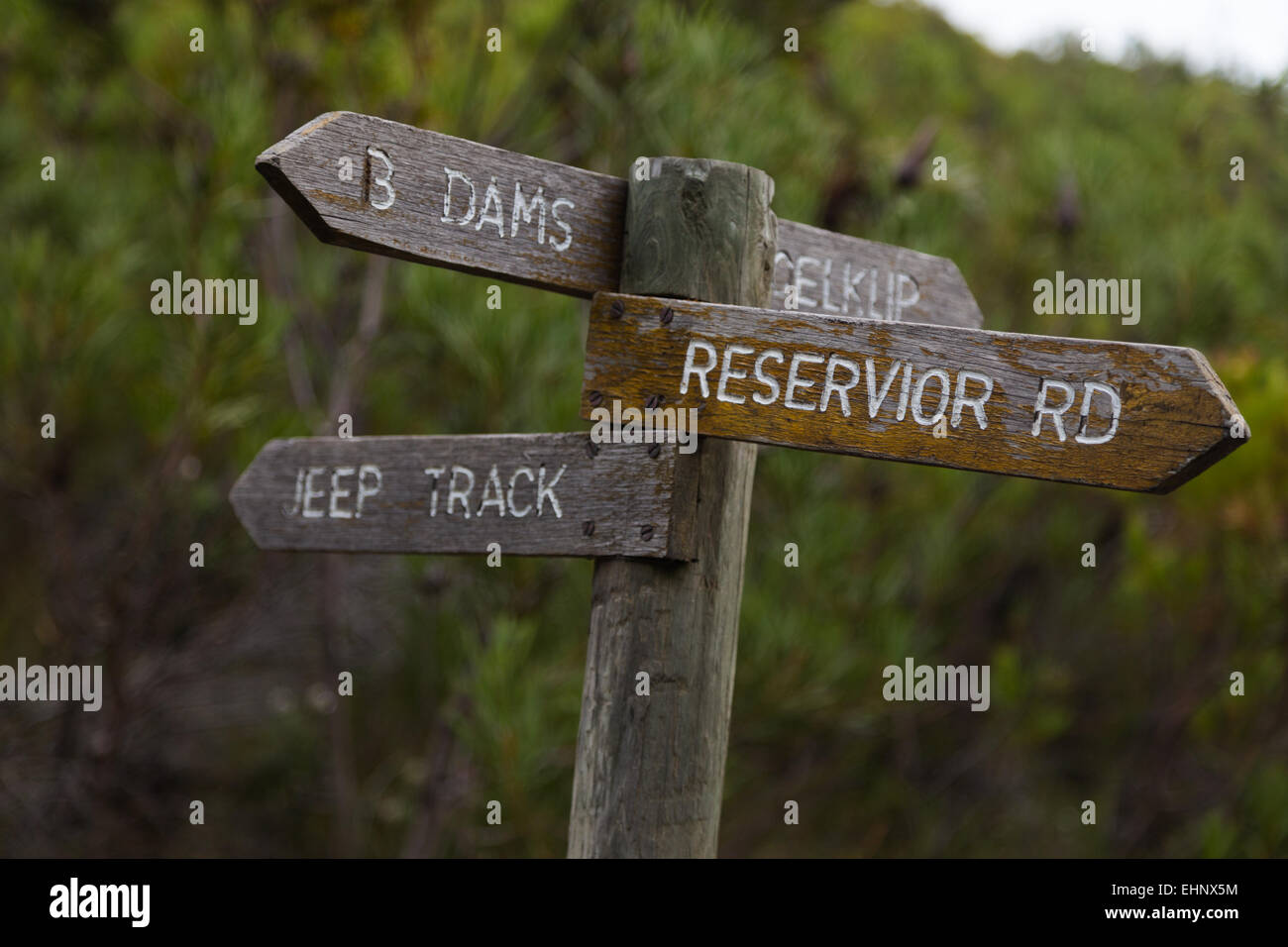 An old, weatherbeaten sign points the way on a walk close to Hermanus ...