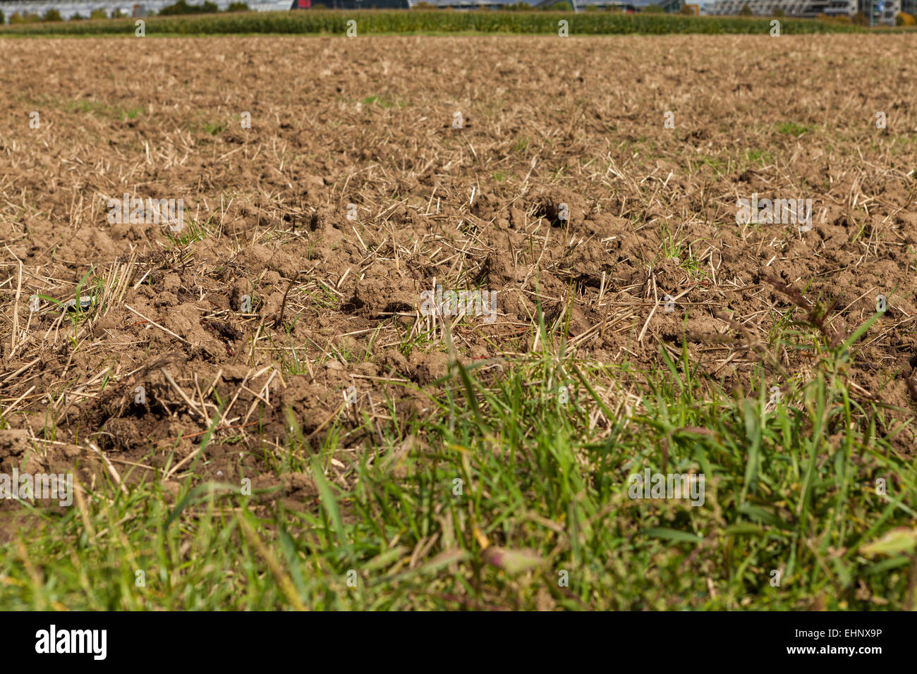 Turned potatoes hi-res stock photography and images - Alamy