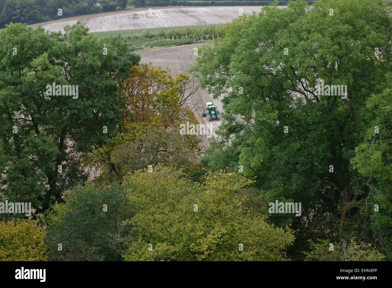 Looking down through large trees beginning to turn colour in autumn to ...