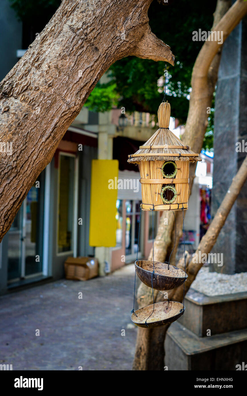 Birds living in tree hi-res stock photography and images - Alamy