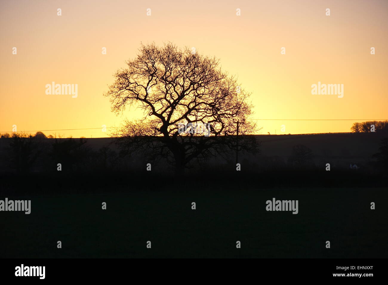Sunset behind tree hi-res stock photography and images - Alamy