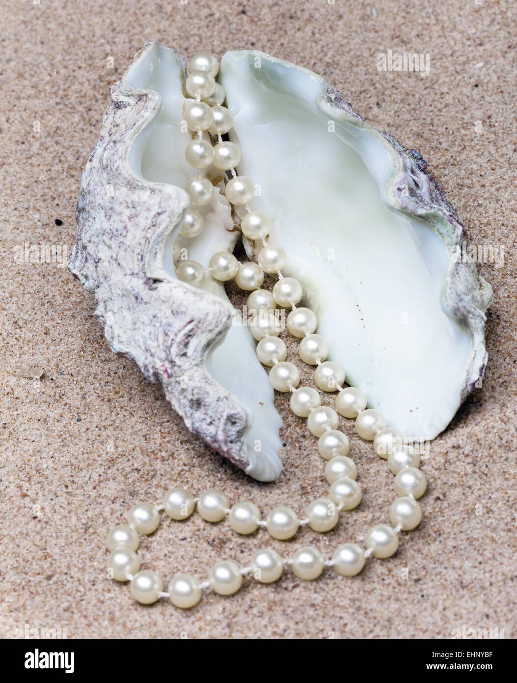 Pearl and shell Stock Photo - Alamy