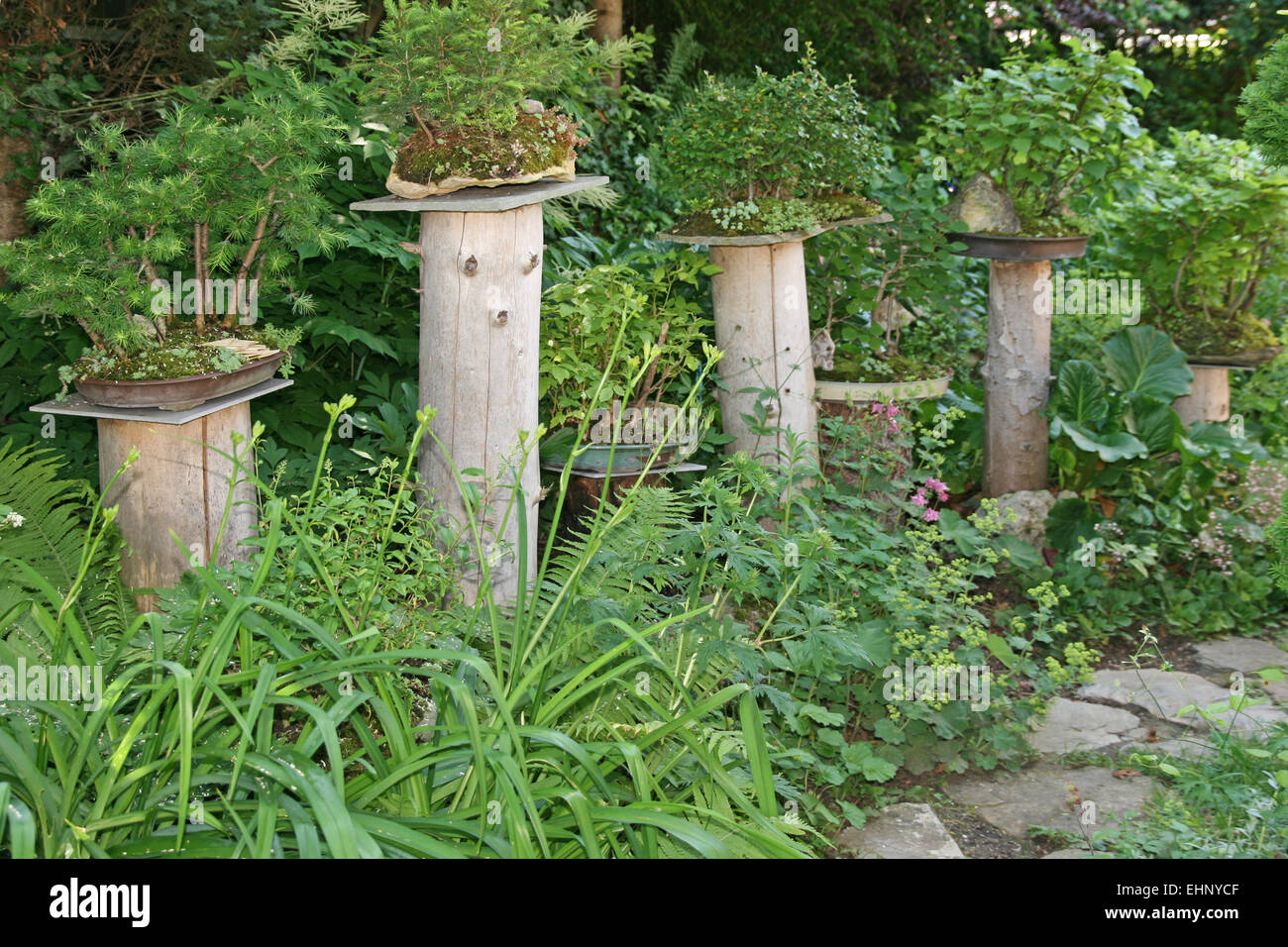 Kleinwuchs hi-res stock photography and images - Alamy