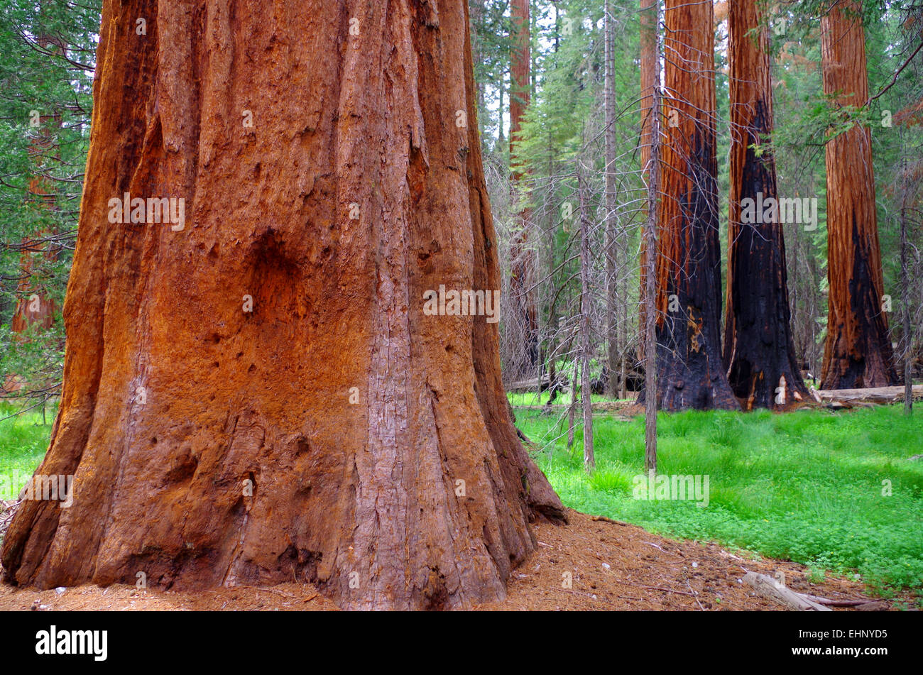 Velky vodopad hi-res stock photography and images - Alamy