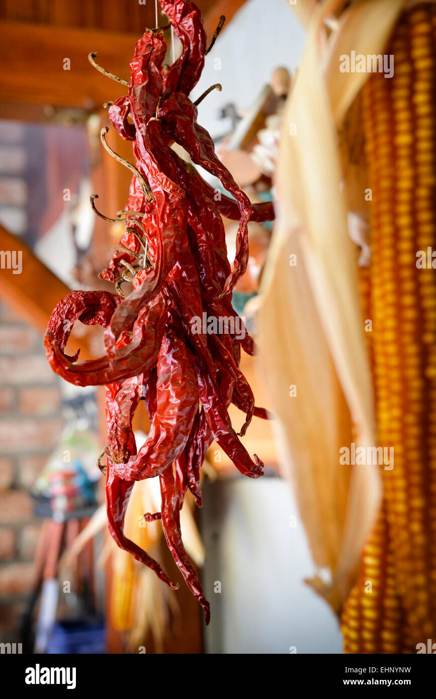 Dried chile peppers hot hi-res stock photography and images - Alamy