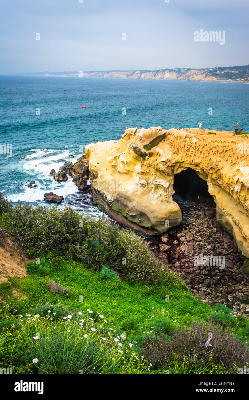 View of a cave and the Pacific Ocean in La Jolla, California Stock ...