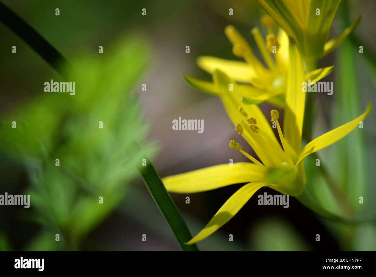 Spring warm up hi-res stock photography and images - Alamy