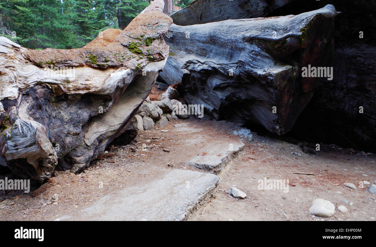 Große skala hi-res stock photography and images - Alamy