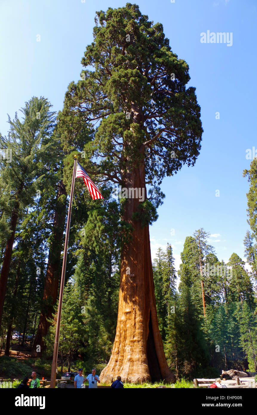 Vodopad velky hi-res stock photography and images - Alamy