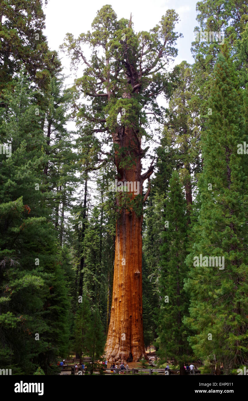 Baume skala hi-res stock photography and images - Alamy