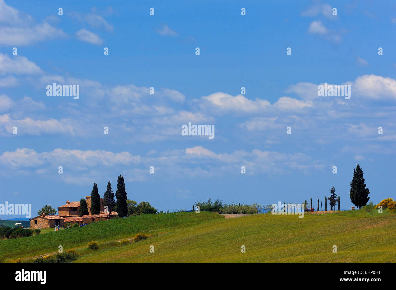 Val d'Orcia, Orcia Valley, Farm with cypress trees, Fields and ...