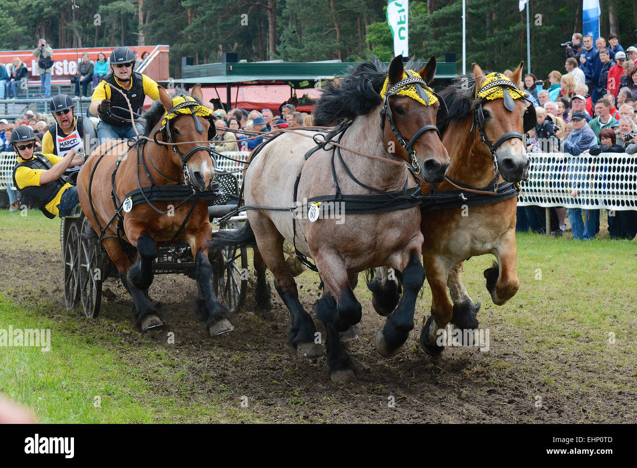 Schnell sc hi-res stock photography and images - Alamy