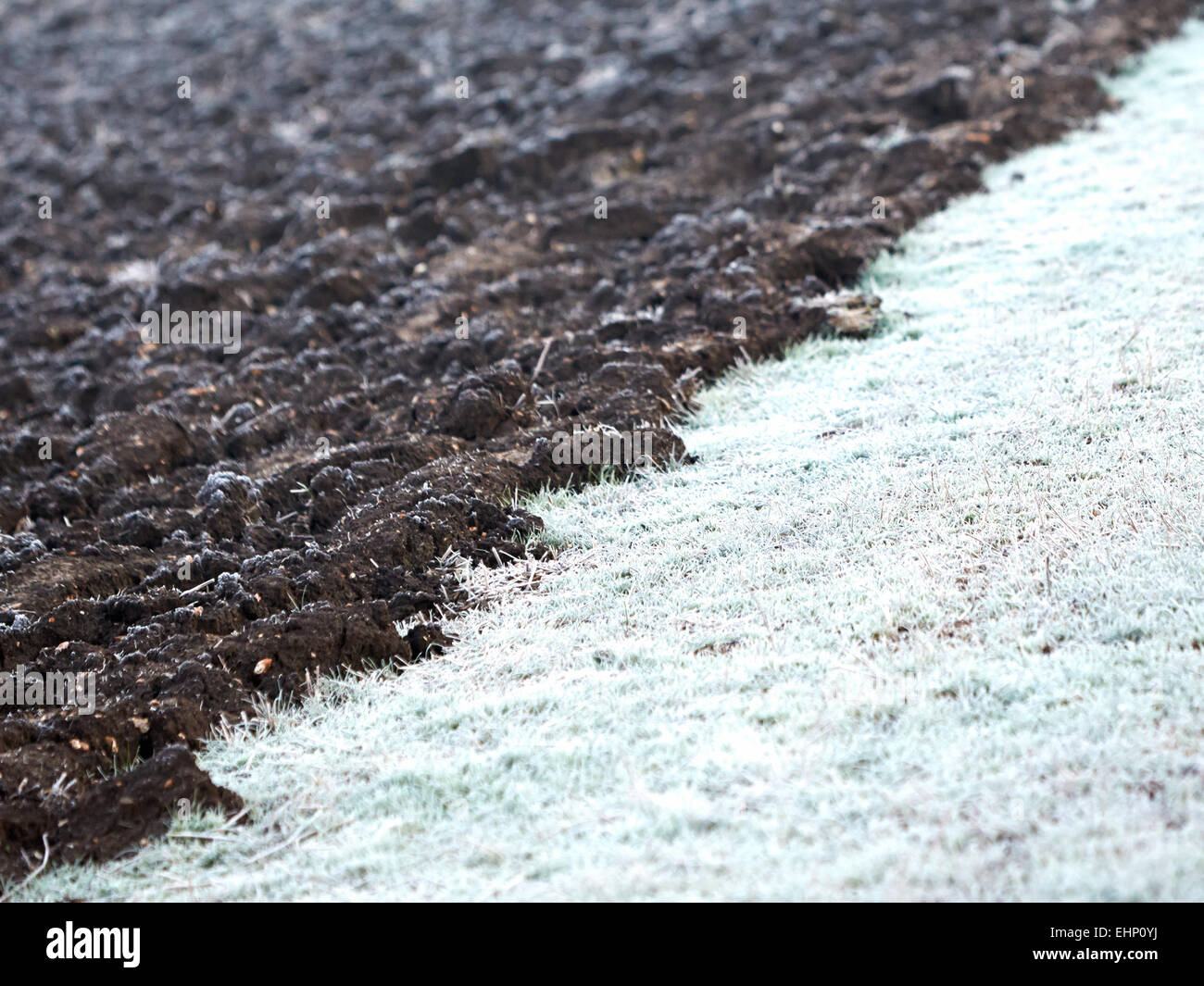 Frost covered grass and earth Stock Photo - Alamy