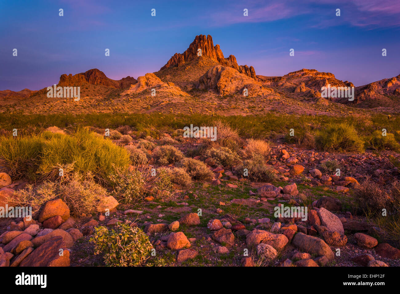 Landscape in desert sunset hi-res stock photography and images - Alamy