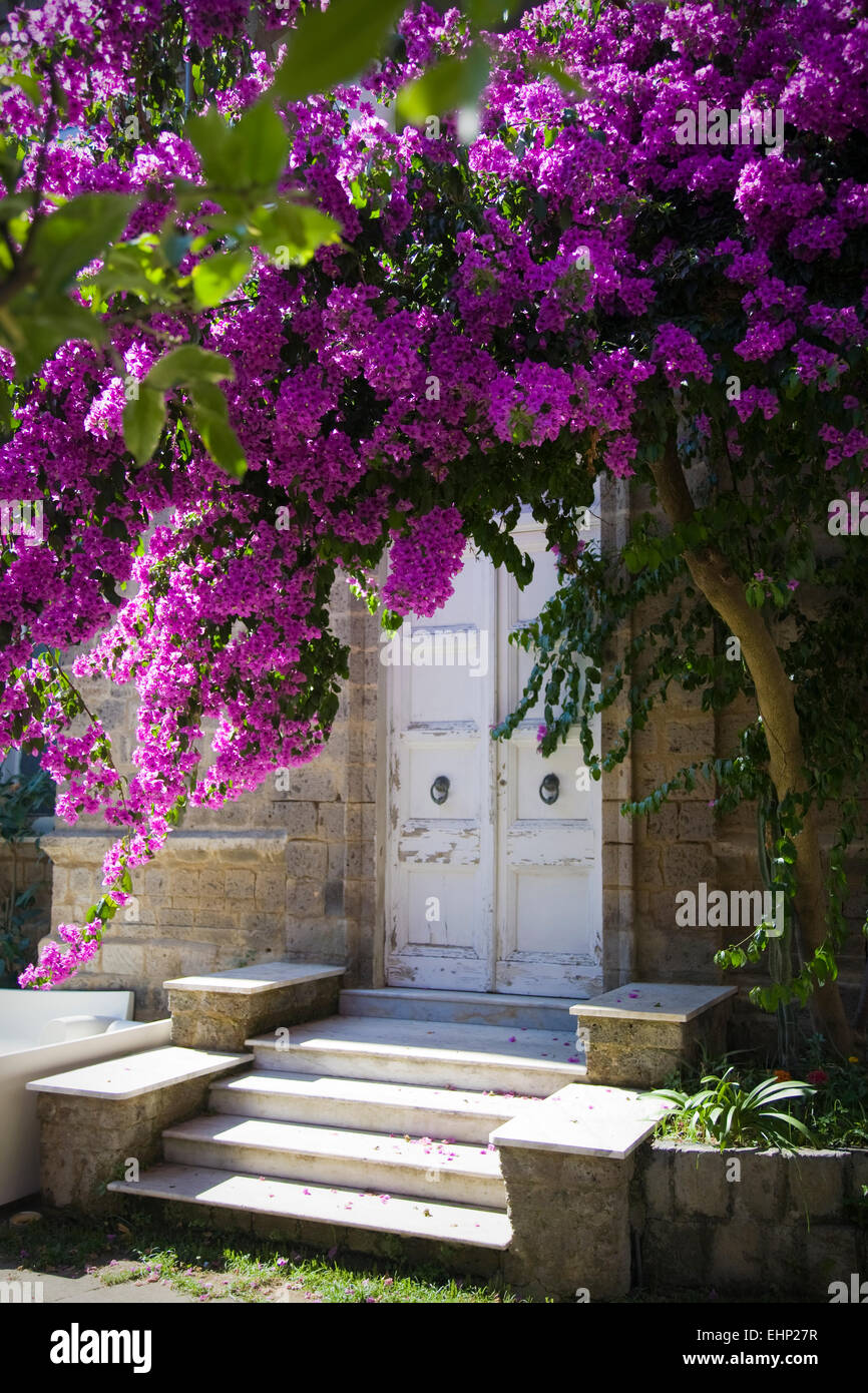 Flowers That Grow In Italy Italy Italian Wedding Flowers: Inspiration