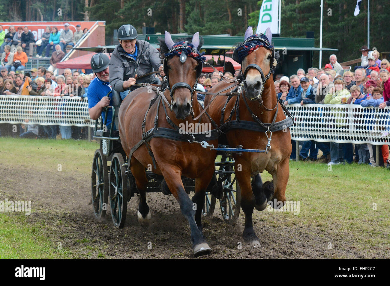 Schnell sc hi-res stock photography and images - Alamy