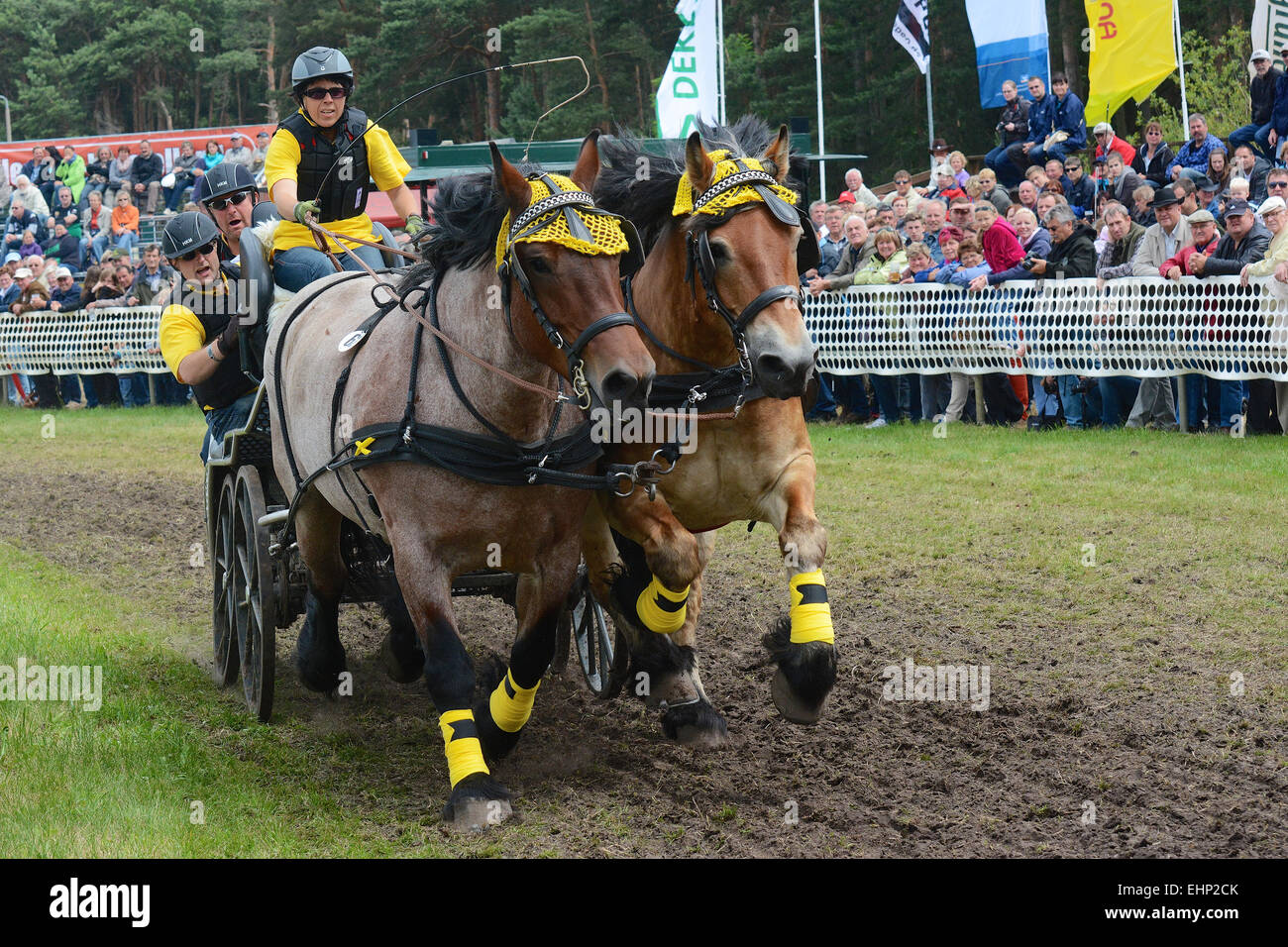 Obstacle racing hi-res stock photography and images - Alamy