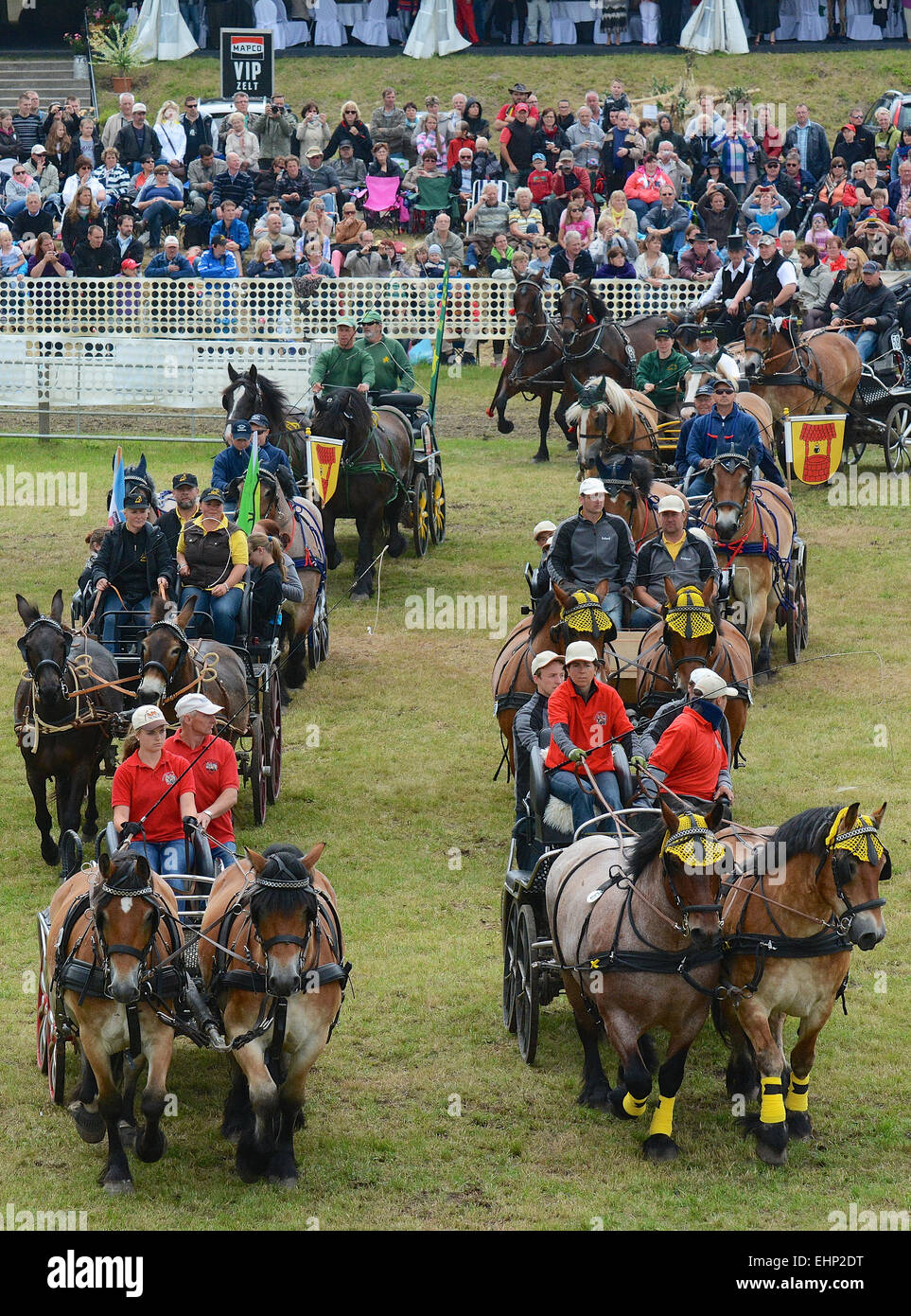 Draft Horse Racing in Germany Stock Photo - Alamy