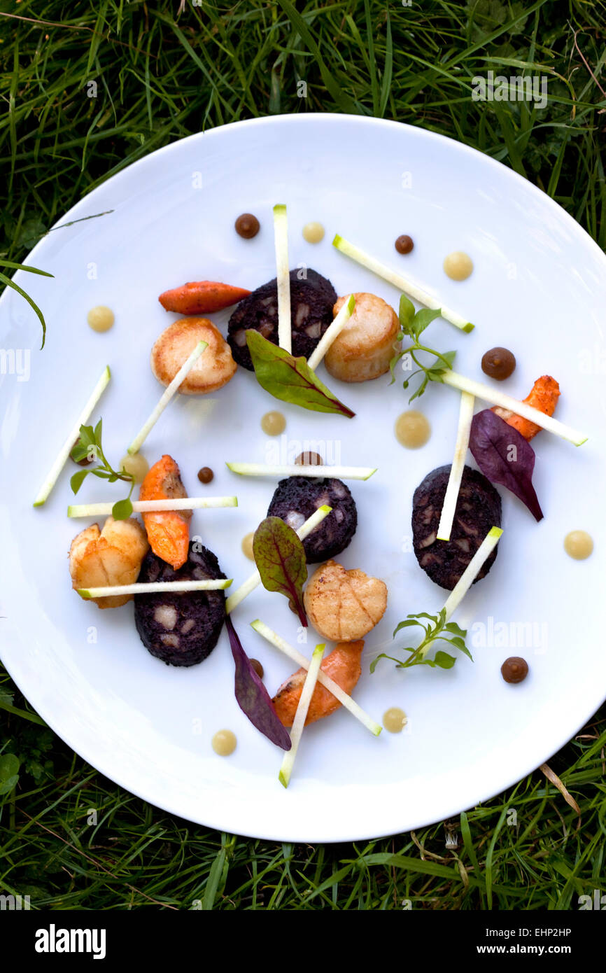 Saint jacques food hi-res stock photography and images - Alamy