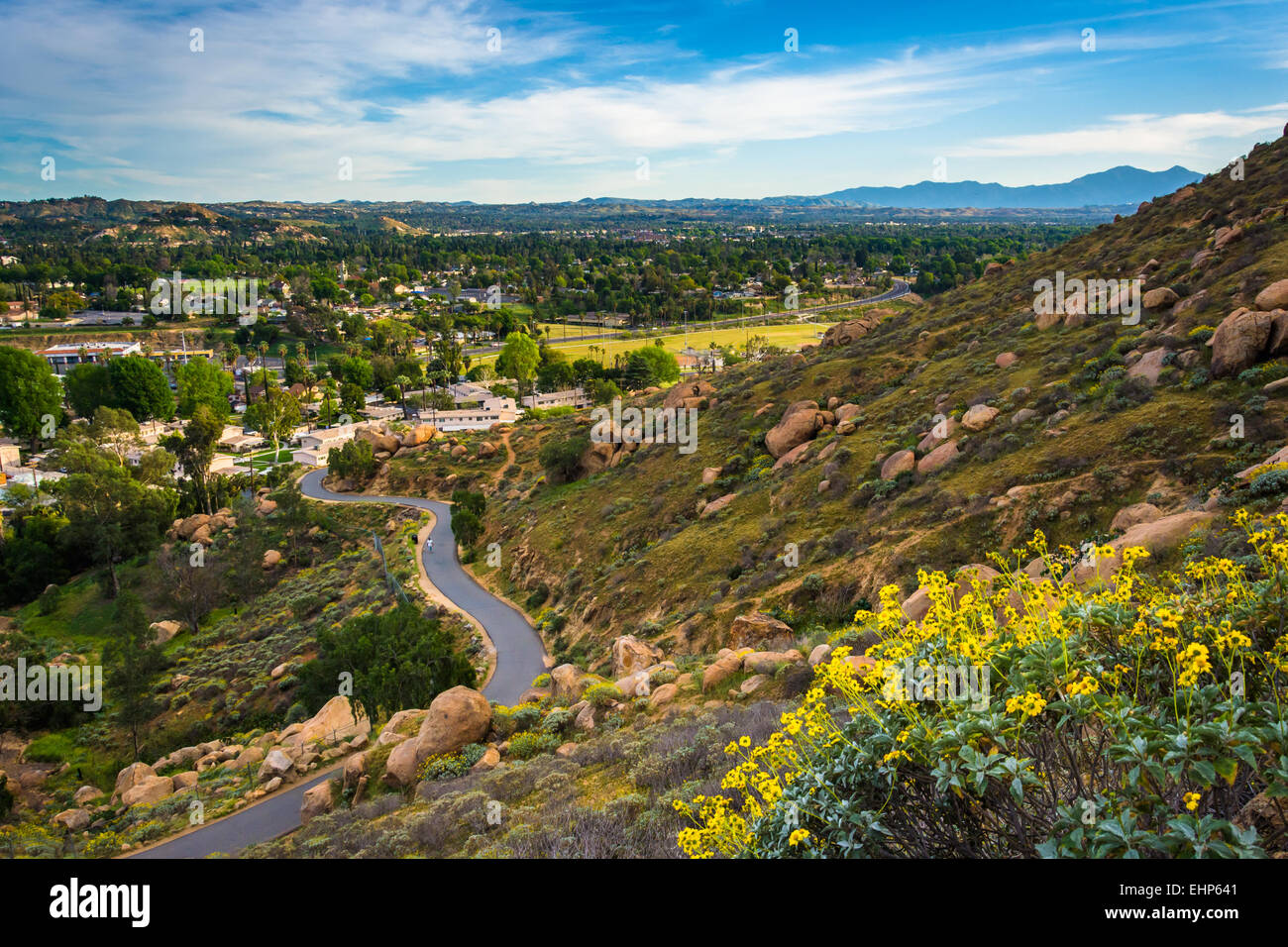 Yellow flowers and view of trail at Mount Rubidoux Park, Riverside ...
