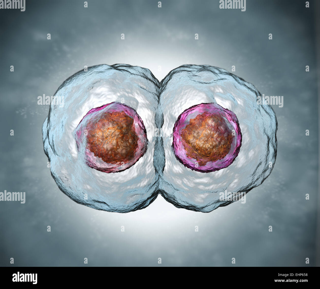 Cell membrane hi-res stock photography and images - Alamy