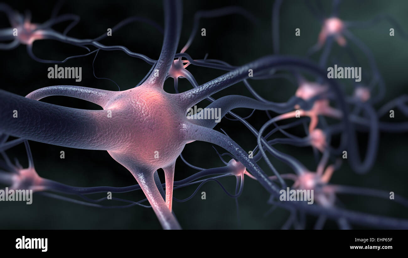 Excitation of the nervous system Stock Photo - Alamy