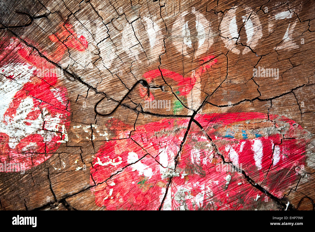 Marking on an old tree trunk cut Stock Photo - Alamy