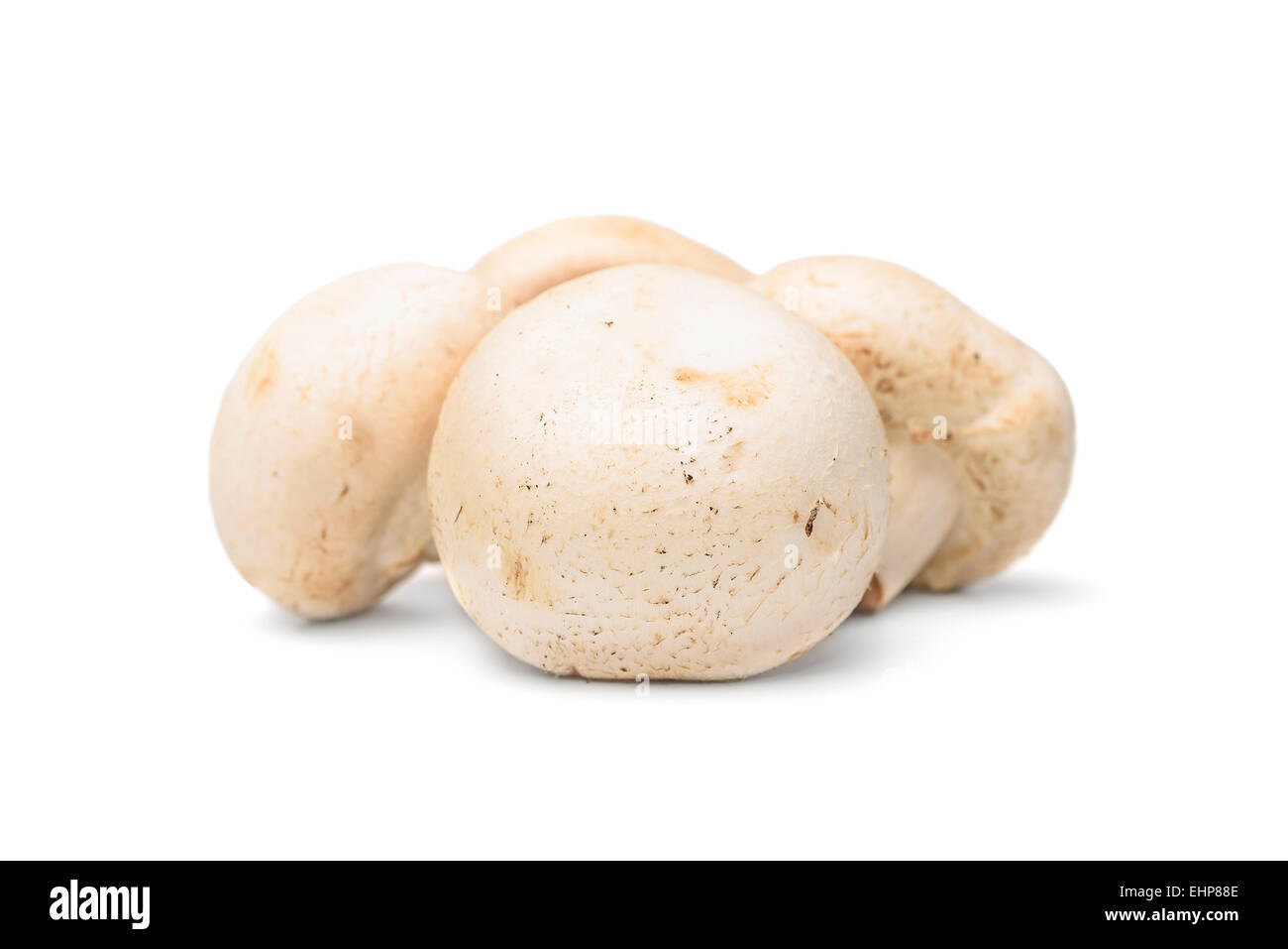 fresh mushroom champignon isolated on white background Stock Photo - Alamy