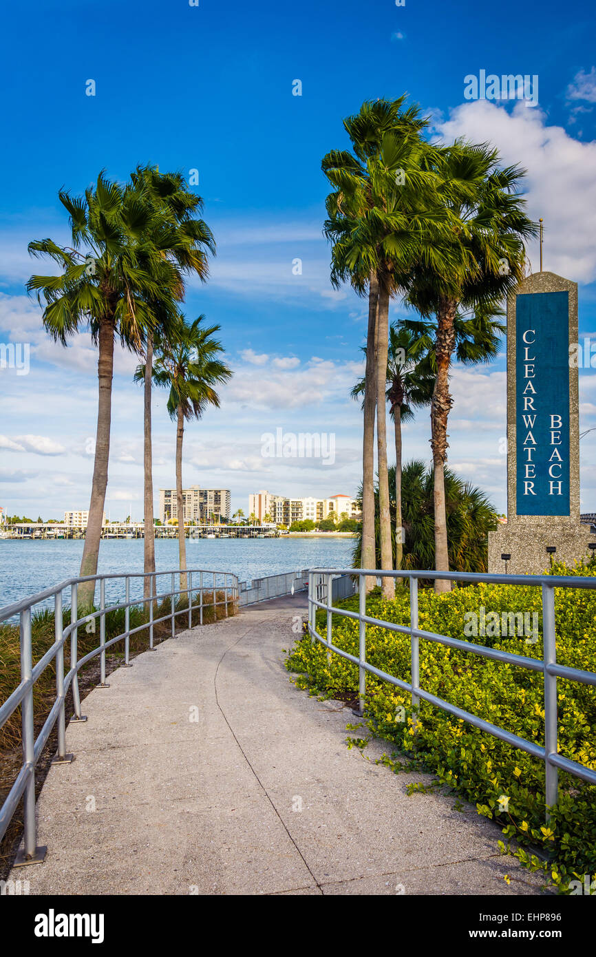 Clearwater Beach sign and palm trees along a path in Clearwater Beach ...