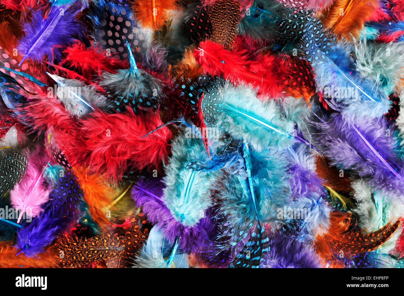 closeup of a pile of feathers of different colors Stock Photo - Alamy