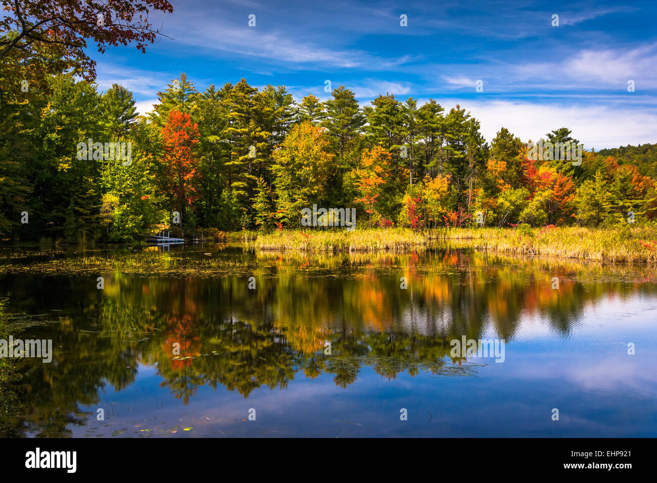 Early autumn color at North Pond, near Belfast, Maine Stock Photo - Alamy