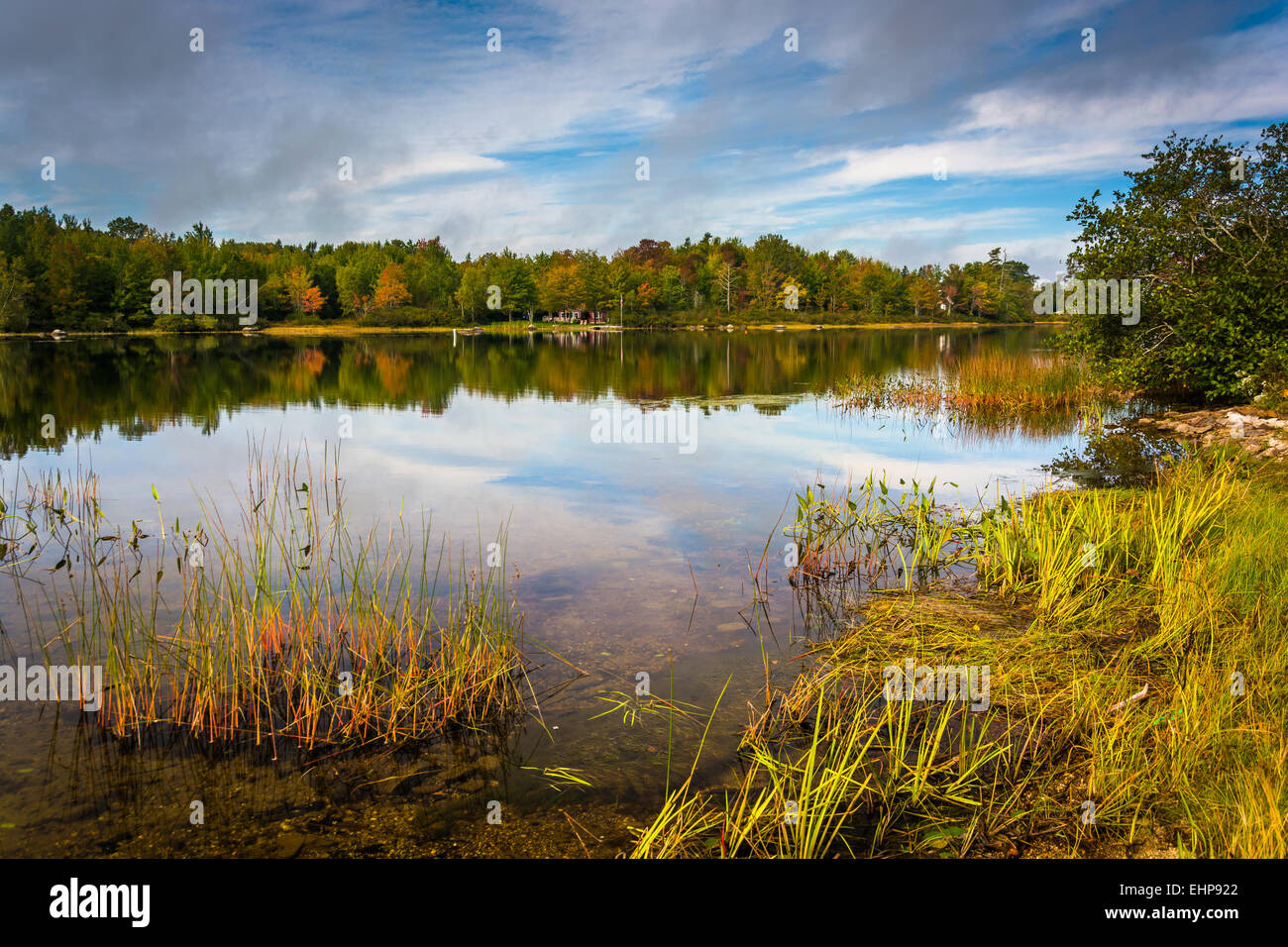 Early autumn reflections and grasses in Toddy Pond, near Orland, Maine ...