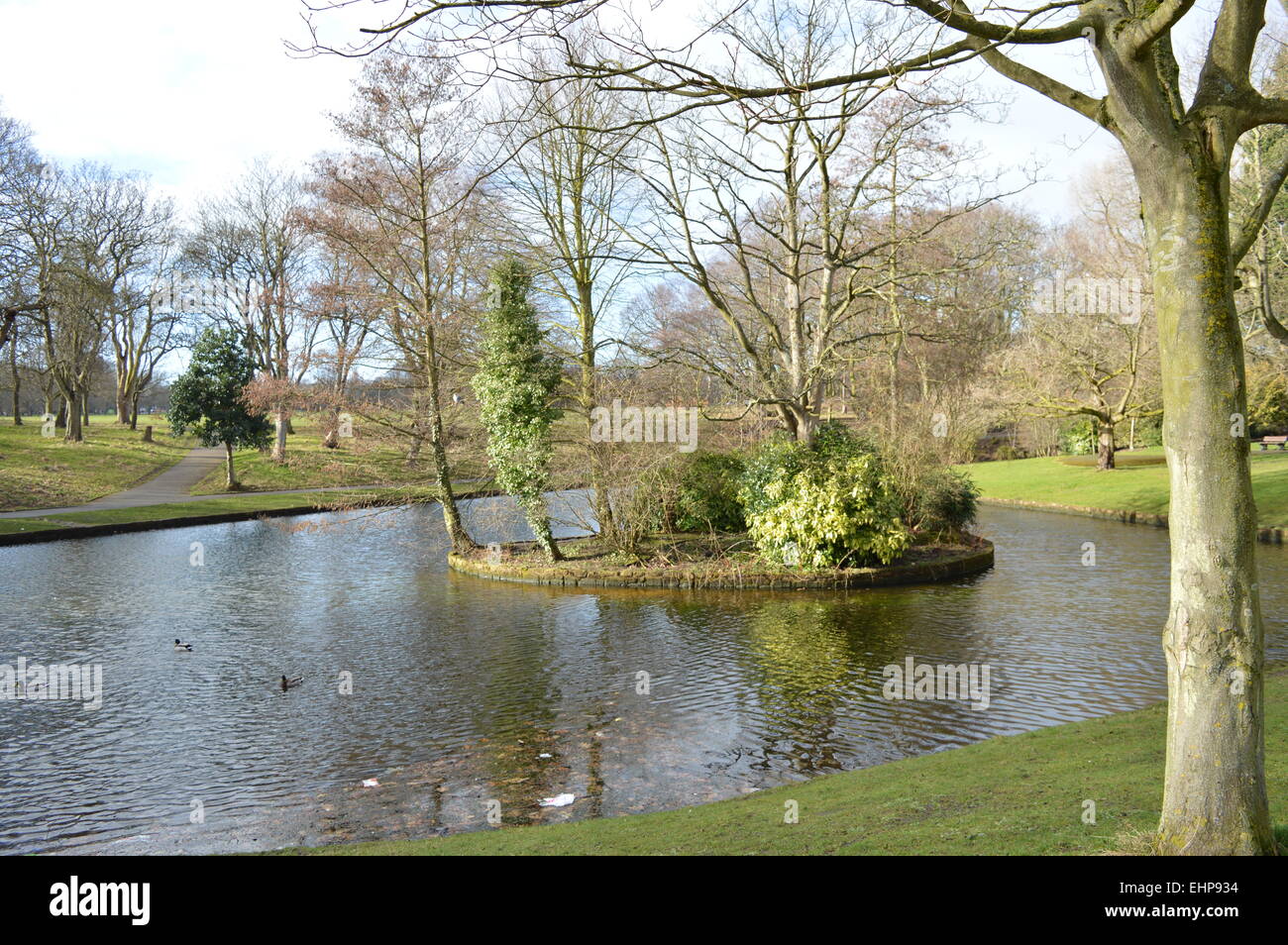 pond in a park Stock Photo - Alamy