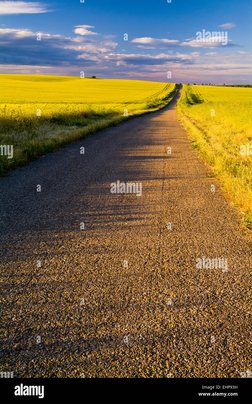Puglia country hi-res stock photography and images - Alamy