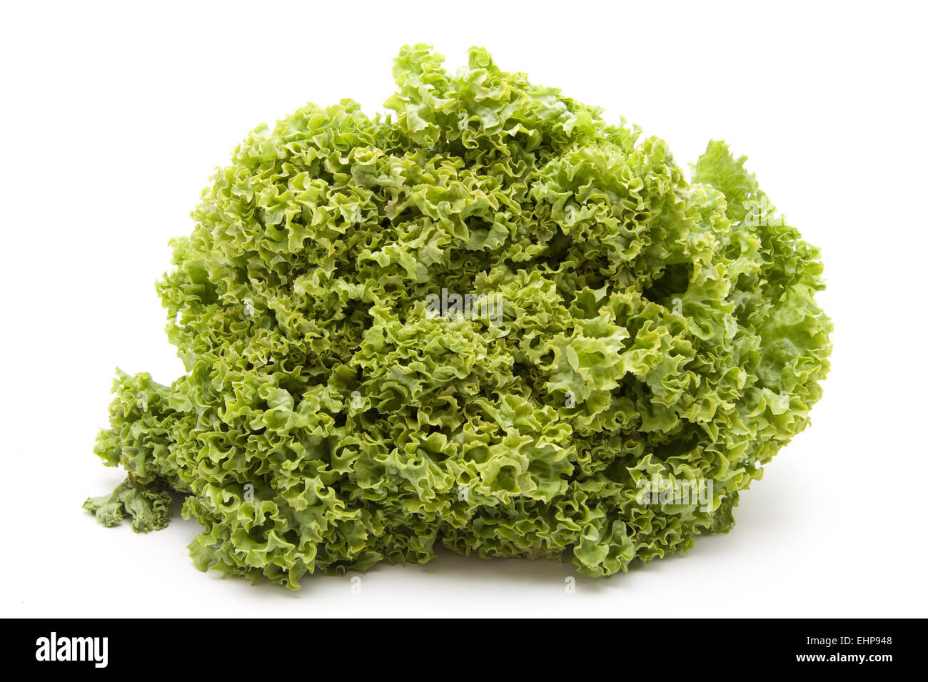 Lollo hi-res stock photography and images - Alamy