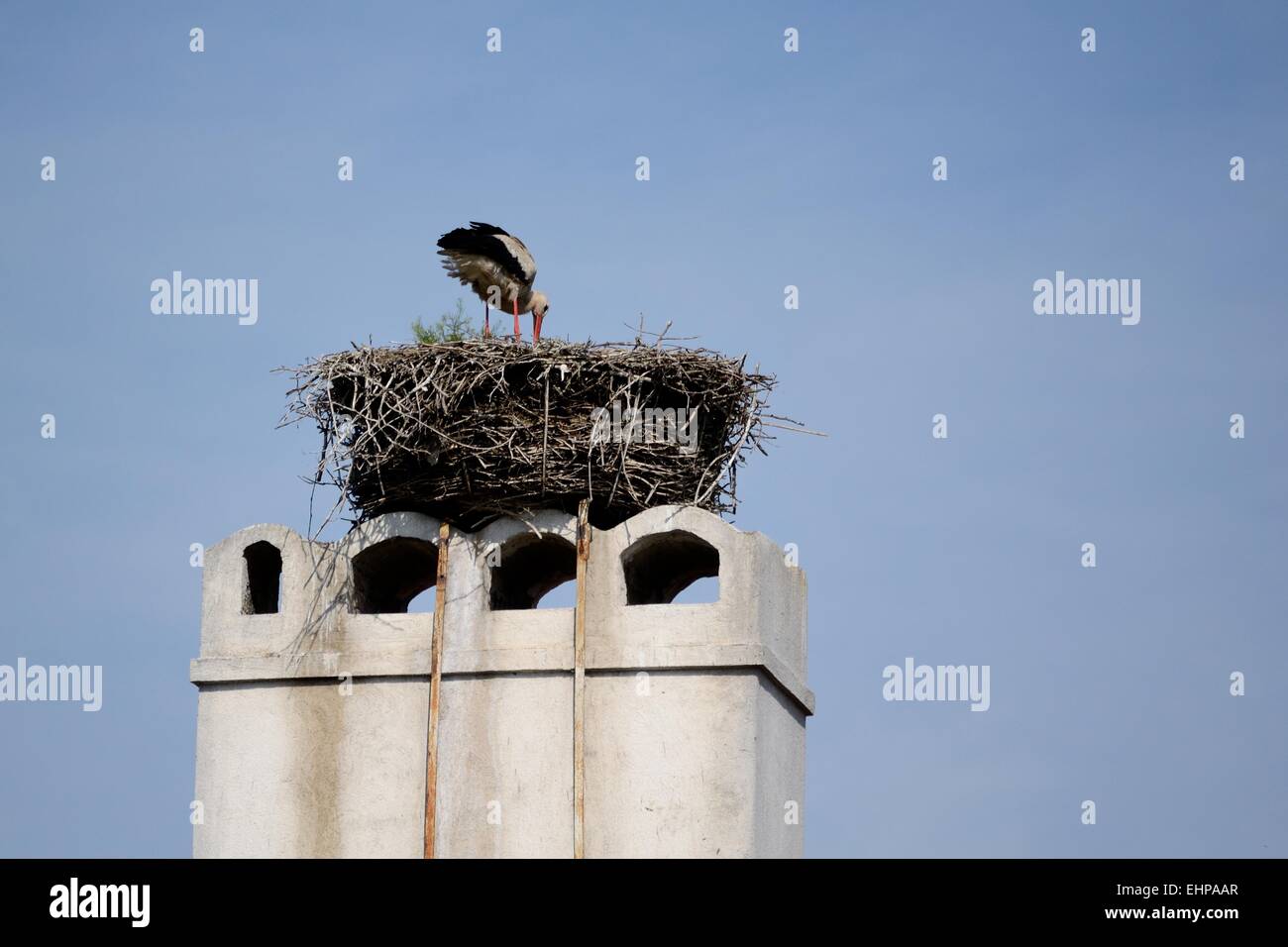 Stork in nest on chimney Stock Photo - Alamy