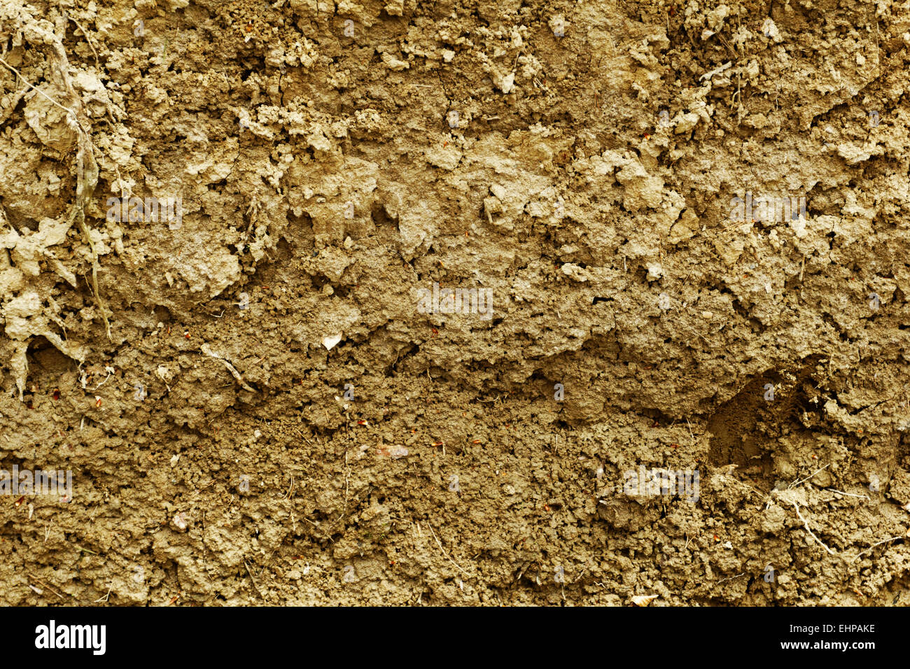 Mud texture hi-res stock photography and images - Alamy