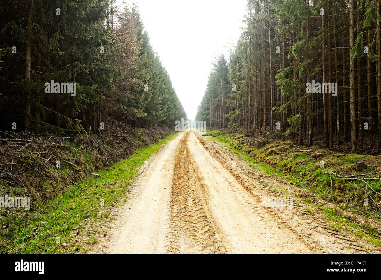 Dirt road in the autumn forest hi-res stock photography and images - Alamy