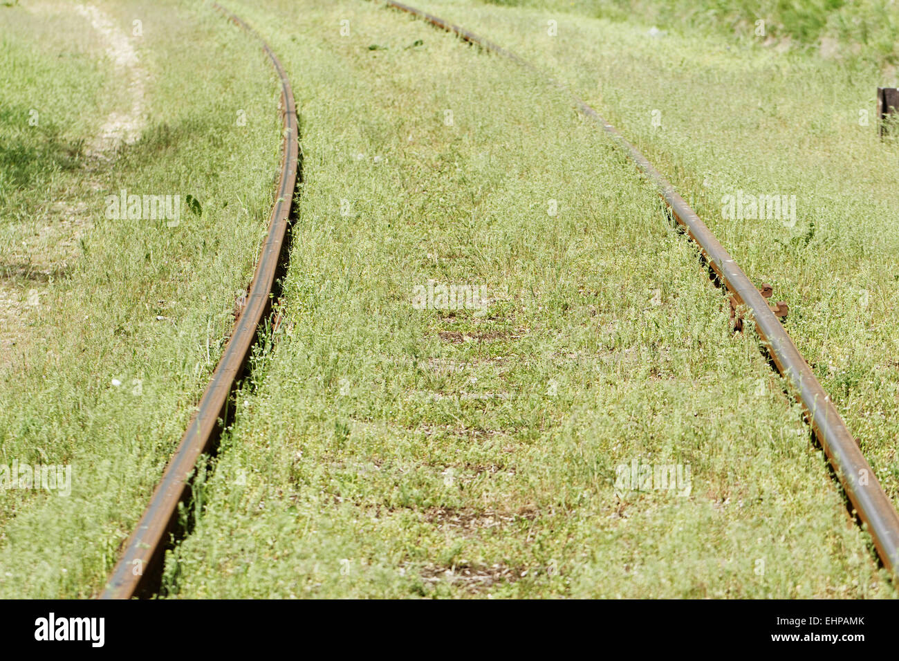 pair of railway track in the green Stock Photo - Alamy